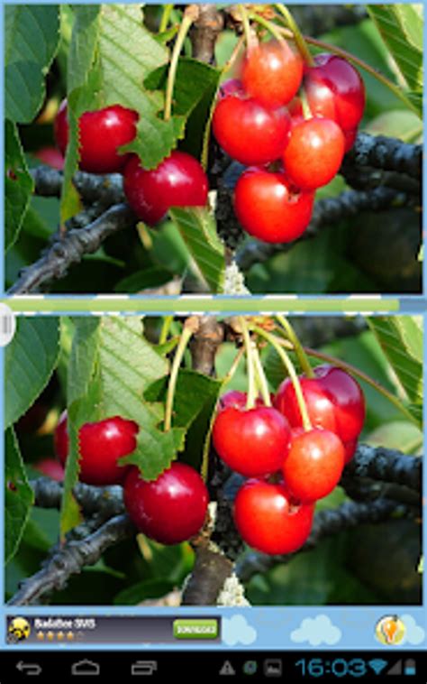 Photo Differences Mega Pack For Android Download