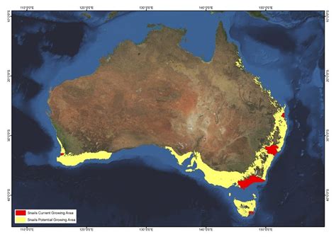 Cone Snail Habitat Map At Abby Choi Blog Cone Snail Habitat Map At Abby Choi Blog