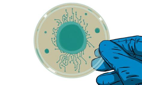 Biological Neural Network Hackaday