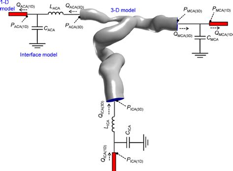 Illustration Of The Coupling Between The 1d Model And The 3d Model Download Scientific Diagram