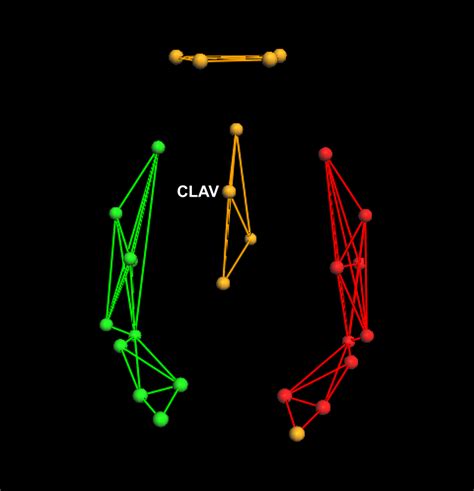 Marker Placement Model For Upper Body 3d Motion Capture Trajectories