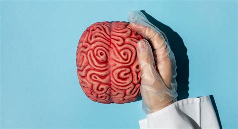 Triarchic Theory Of Intelligence