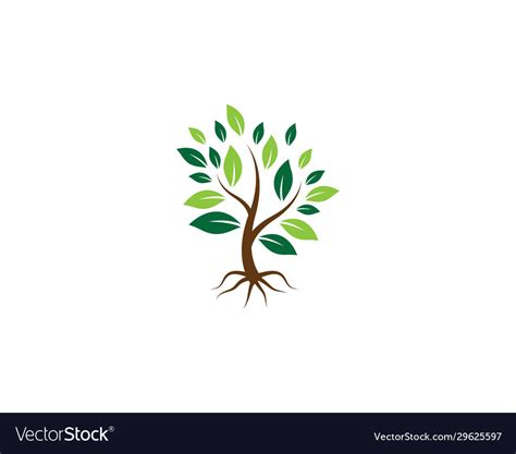Tree Symbol Icon Royalty Free Vector Image Vectorstock