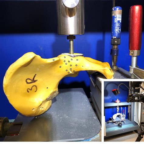 Testing Setup A Cyclic Loading Protocol Was Applied On A Universal Download Scientific Diagram