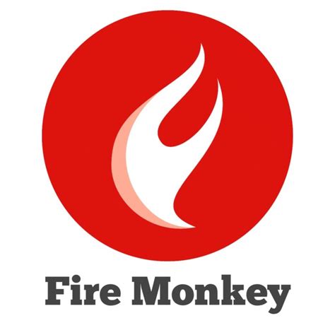 Delphi Vcl Developer Programming Fmx Firemoneky Crossplatform