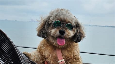 소나기 맞고 칼국수 집으로 파전 먹방 Youtube