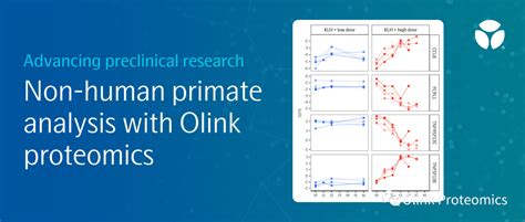 【insight 最新案例】olink蛋白组学在非人类灵长类模型上治疗免疫反应 Olink精准蛋白组服务提供商