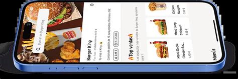 Desarrollo En Vuejs Dribba