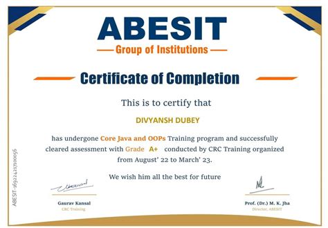 divyansh dubey on linkedin abesit crctraining javaprogramming oops
