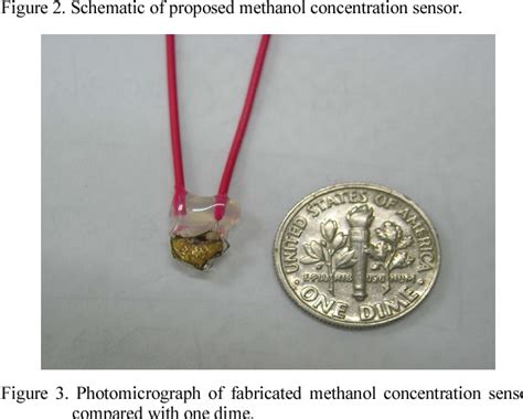 Figure 3 From Extremely Small Methanol Sensor With Micronano Porous Au