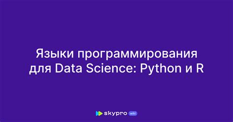 Языки программирования для data science python и r