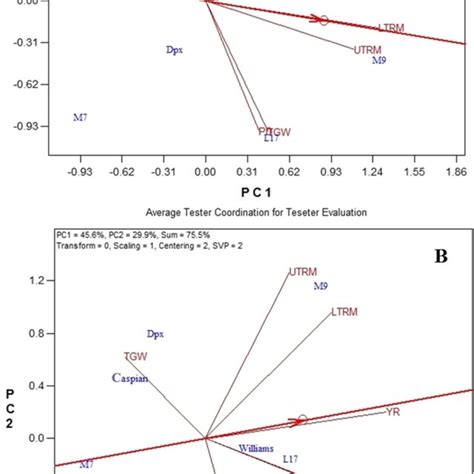 Tester Vector View Of Genotype By Yield Trait Gyt Biplot To Display Download Scientific