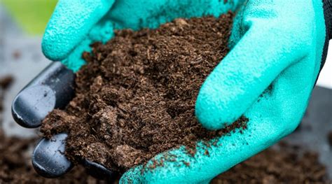 Tips For Preventing Soil Erosion In Your Garden