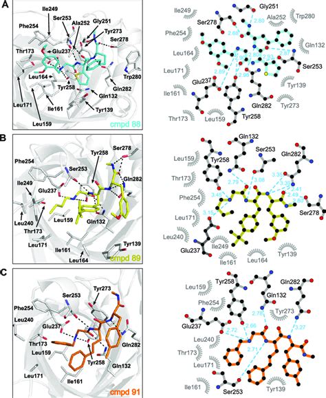 Left Co Crystal Structures Of Gid4 In Complex With Del Compound A Download High