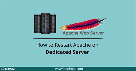 How To Restart Apache On Dedicated Server BodHOST