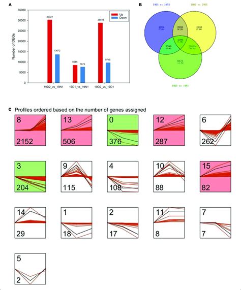 Expression Patterns Of Differentially Expressed Genes Degs During Download Scientific