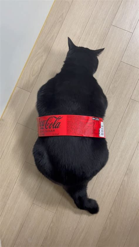 나여점식이 증말 무해하다 Instagram