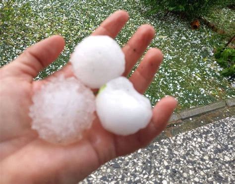 1600 цигли осигури Мрежовият експлоатационен район на ЕСО в Горна