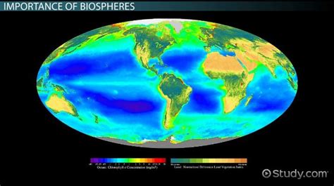 Biosphere Definition Facts And Examples Lesson