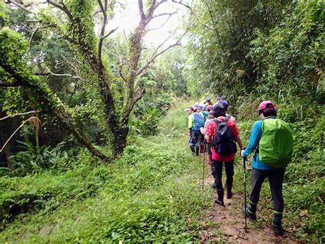 苗栗龍王峽谷 功維敍彩紅隧道 三灣落羽松 健行筆記