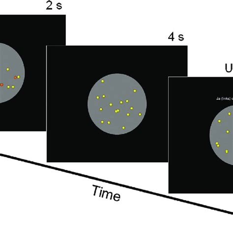 multiple object tracking task left screenshot 2 3 or in this