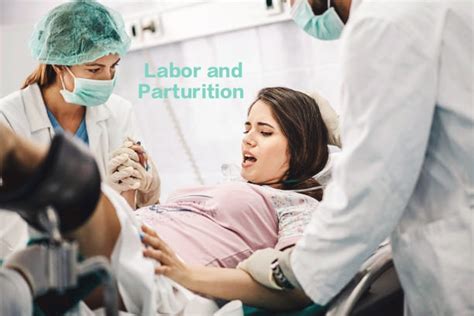 Labor And Parturition