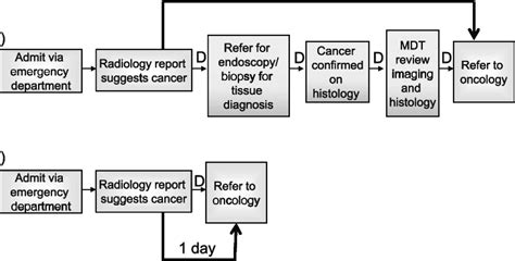 Patient Pathways A Process Mapping Of The Patient Pathway In The