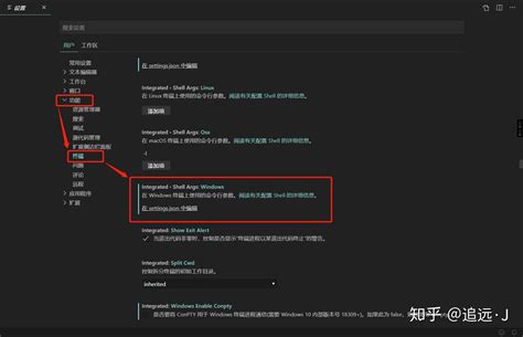 记一个VS Code终端显示问题的较完美解决 知乎