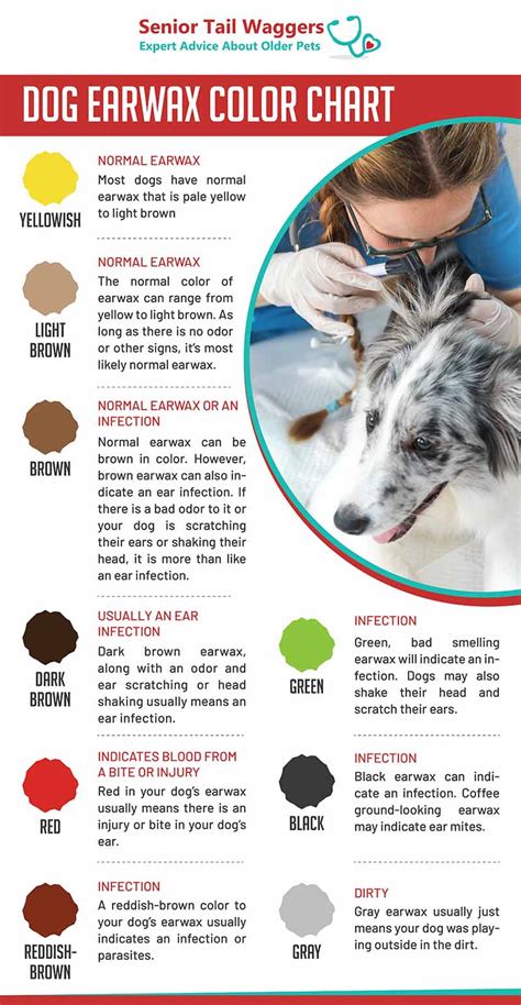 Dog Ear Wax Color Chart When Color Can Indicate A Problem