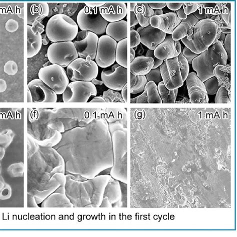 Li Nucleation And Growth Processes In The First Cycle And Morphology Download Scientific