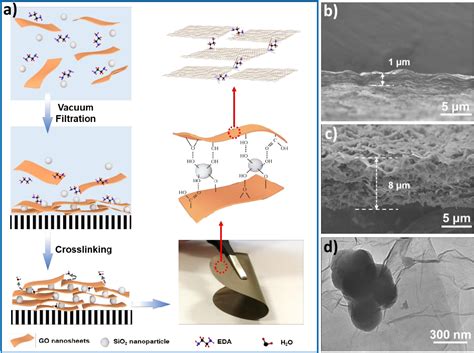 Figure 1 From A Multifunctional Hierarchical Porous Sio2go Membrane