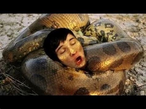 ЗМЕИ - УБИЙЦЫ. 5 Самых опасных и ядовитых змей. 1 ч. - YouTube