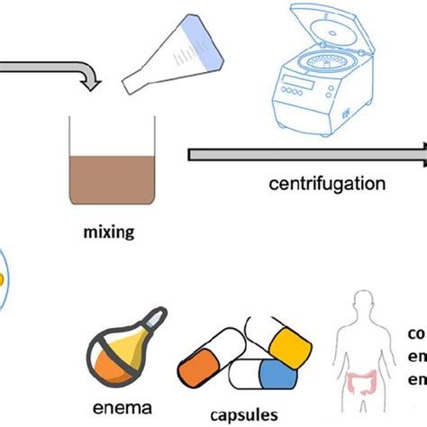 Fecal Sample Preparation After Testing For Contaminants And Pathogenic Download Scientific
