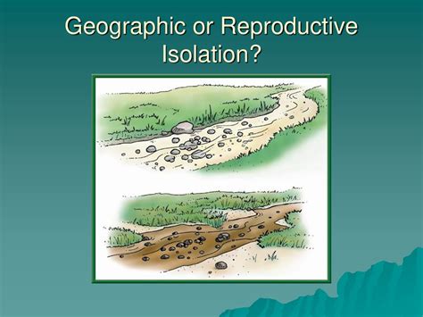 The Evolution Of A Species Ppt Download