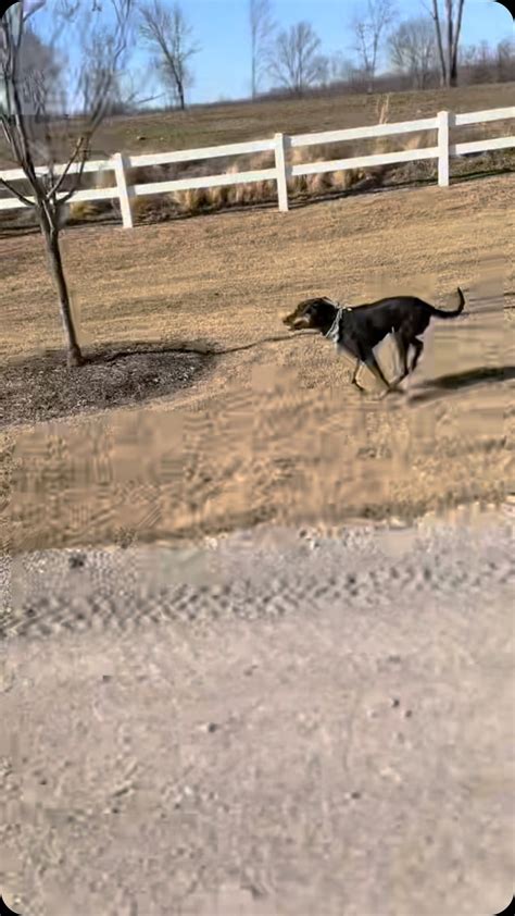 Video Posted By Gwen Stefani Gwenstefani