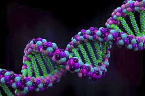 Python For Bioinformatics Makeintern Elearning