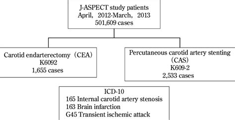Nternal Carotid Artery Stenosis Cases Extraction Algorithm In The