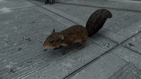 Squirrel Rspidermanps4