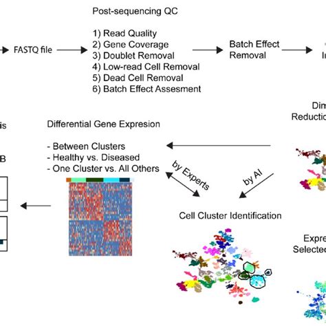 Bioinformatic Analysis Workflow Of Cellular Indexing Of Transcriptome