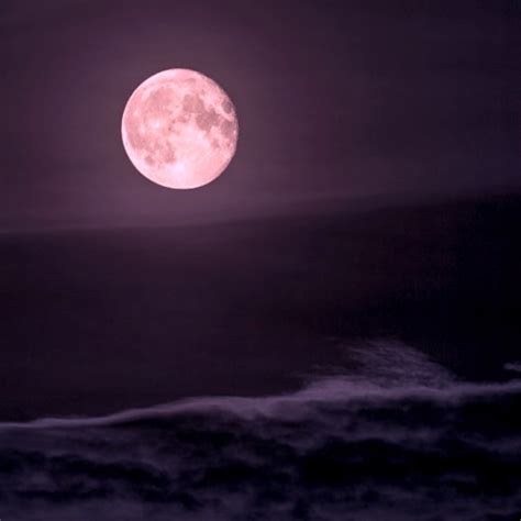 Stream Edm 7 Party Flow Master Mix By True Funz Colorist Listen