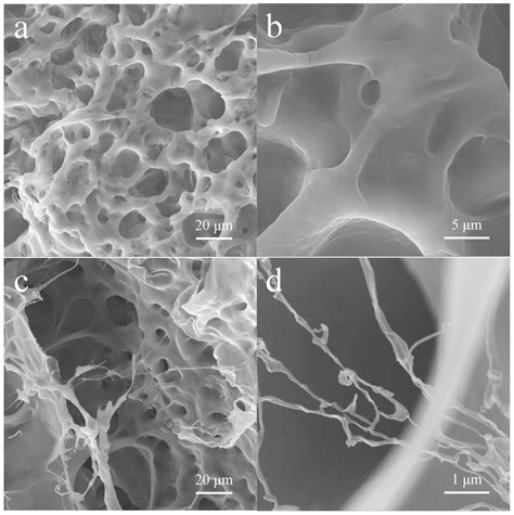 Anti Swelling Aramid Nanofiber Reinforced Zwitterionic Polymer Hydrogel For Strain Sensors