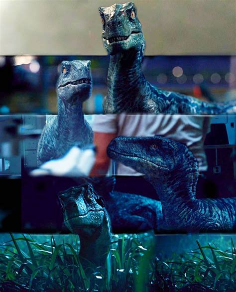 Jurassic Park Blue Dinosaur Blue De Jurassic World Eoxpnu