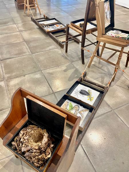 New Forest Reflections Queer River