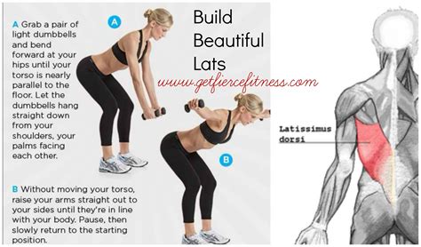 Resistance Band Exercises Latissimus Dorsi At Deborah Wong Blog