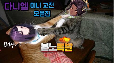 다니엘 미니 교전 모음집 Youtube