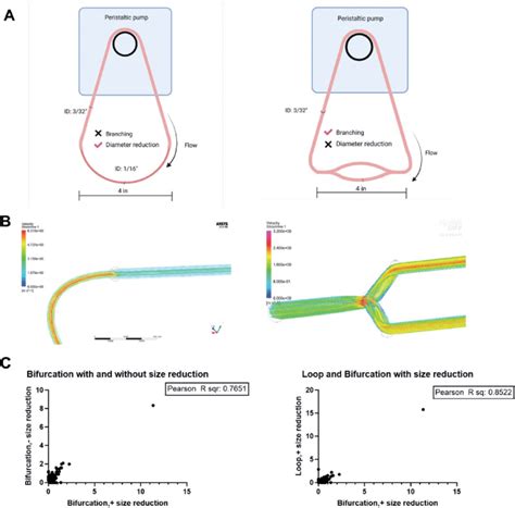 A In Vitro Vascular Models B Flow Simulation Through Different