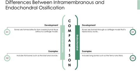 Bone Formation Intramembranous Ossification Ppt Outline Acp Ppt Presentation