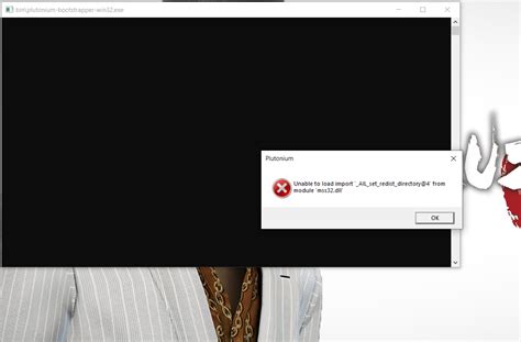 Game Wont Load Plutonium