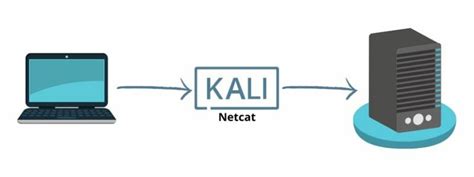Mastering Netcat On Kali Linux A Beginners Guide InfosecScout