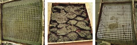 slabs reinforcement with different geogrid types download scientific